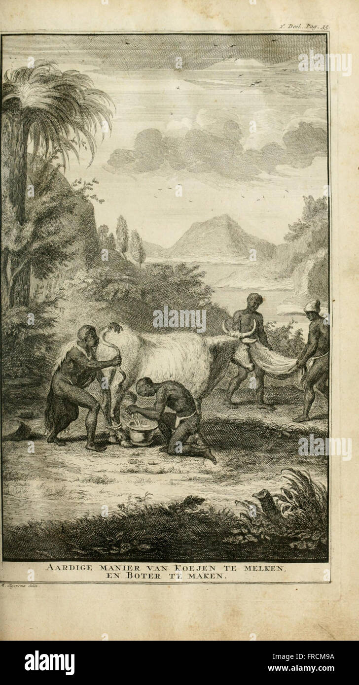 This Dutch work provides a detailed and accurate description of the ...