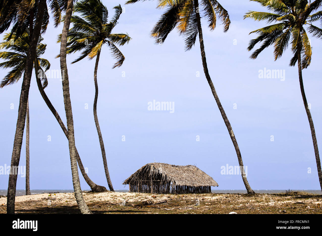 Landscape with palm trees and house in Praia do sape Costinha Stock ...