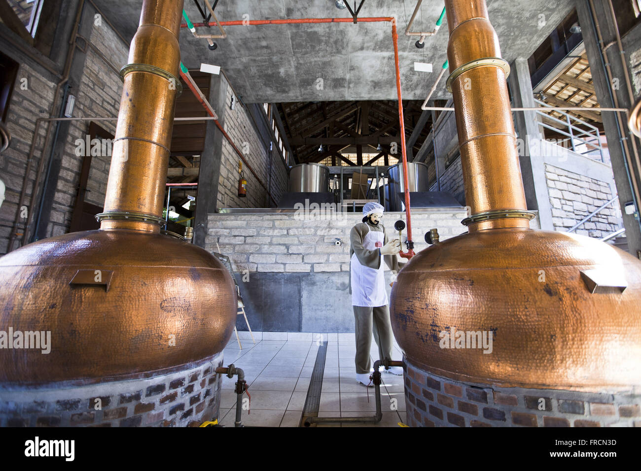 Distillation of sugar cane for the production of cachaca in Alembic ...
