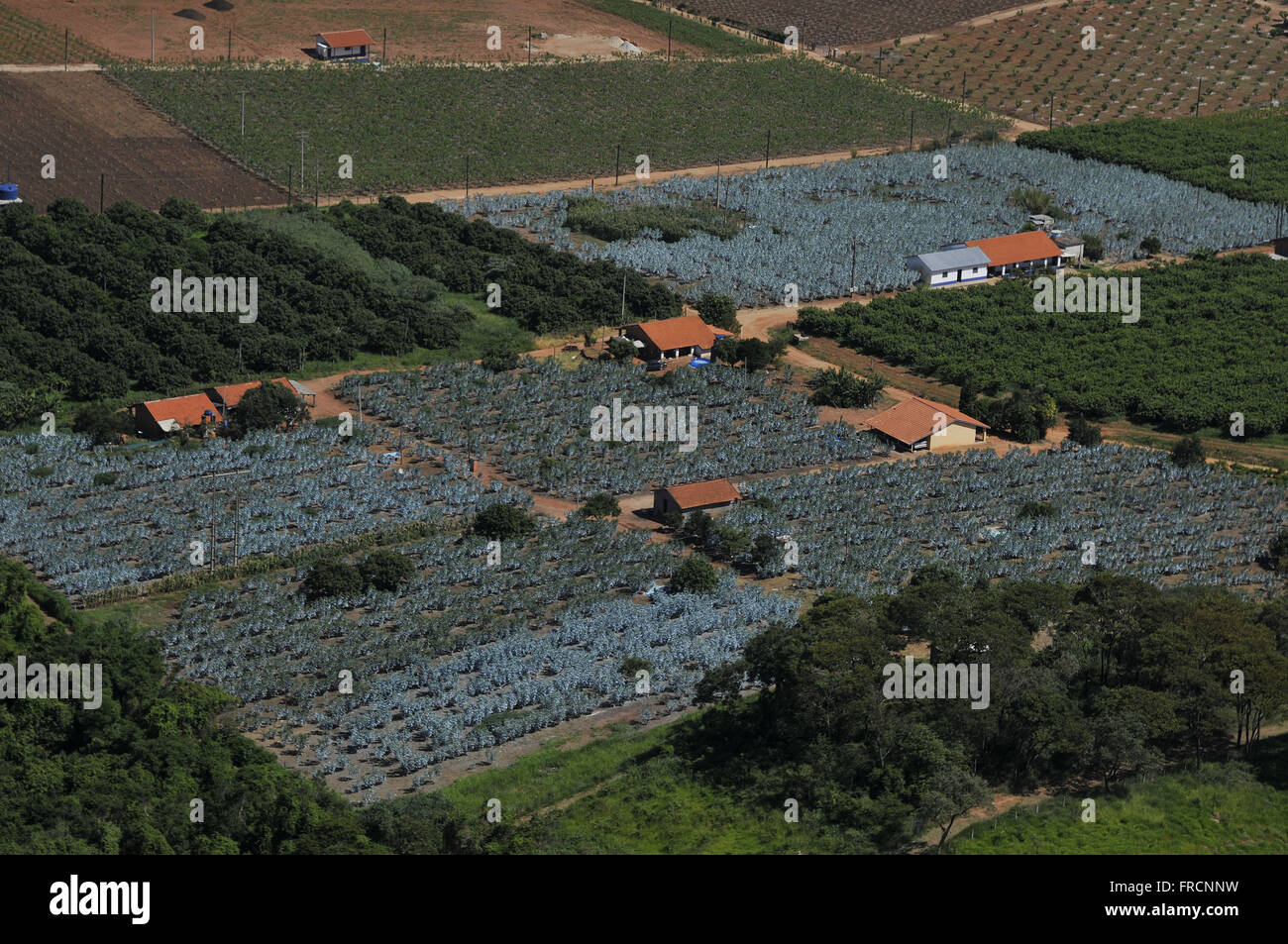 Aerial view of farm hi-res stock photography and images - Alamy