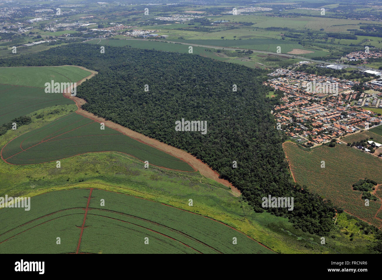 Woods aerial view hi-res stock photography and images - Alamy