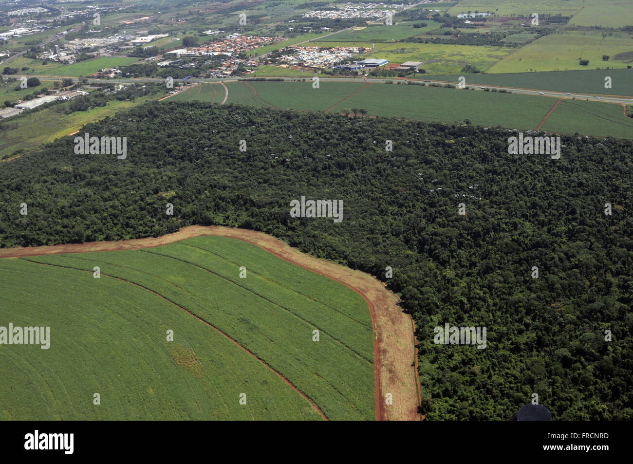 Woods aerial view hi-res stock photography and images - Alamy