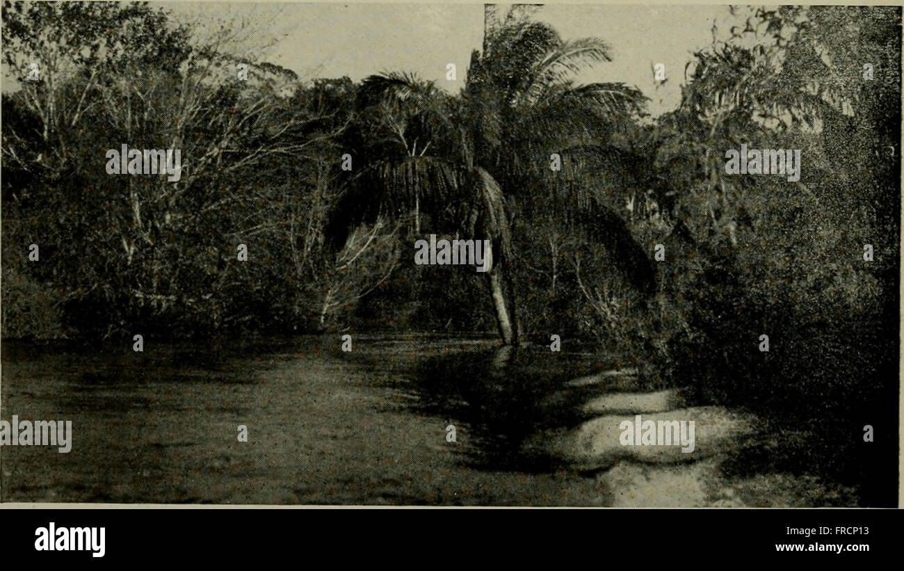 The American Museum Journal, published between c1900 and 1918, covers a ...