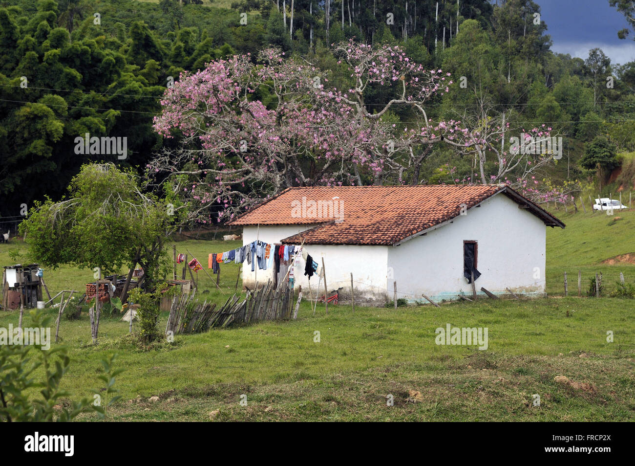 Latin countryside hi-res stock photography and images - Alamy