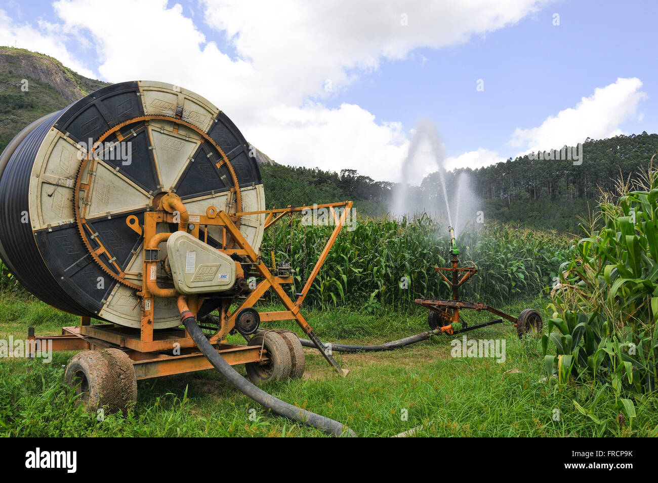 Irrigation with self-propelled reel cornfield in rural Stock Photo - Alamy