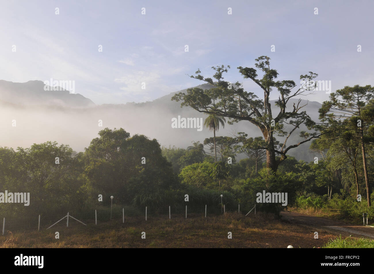 Savanna area hi-res stock photography and images - Alamy