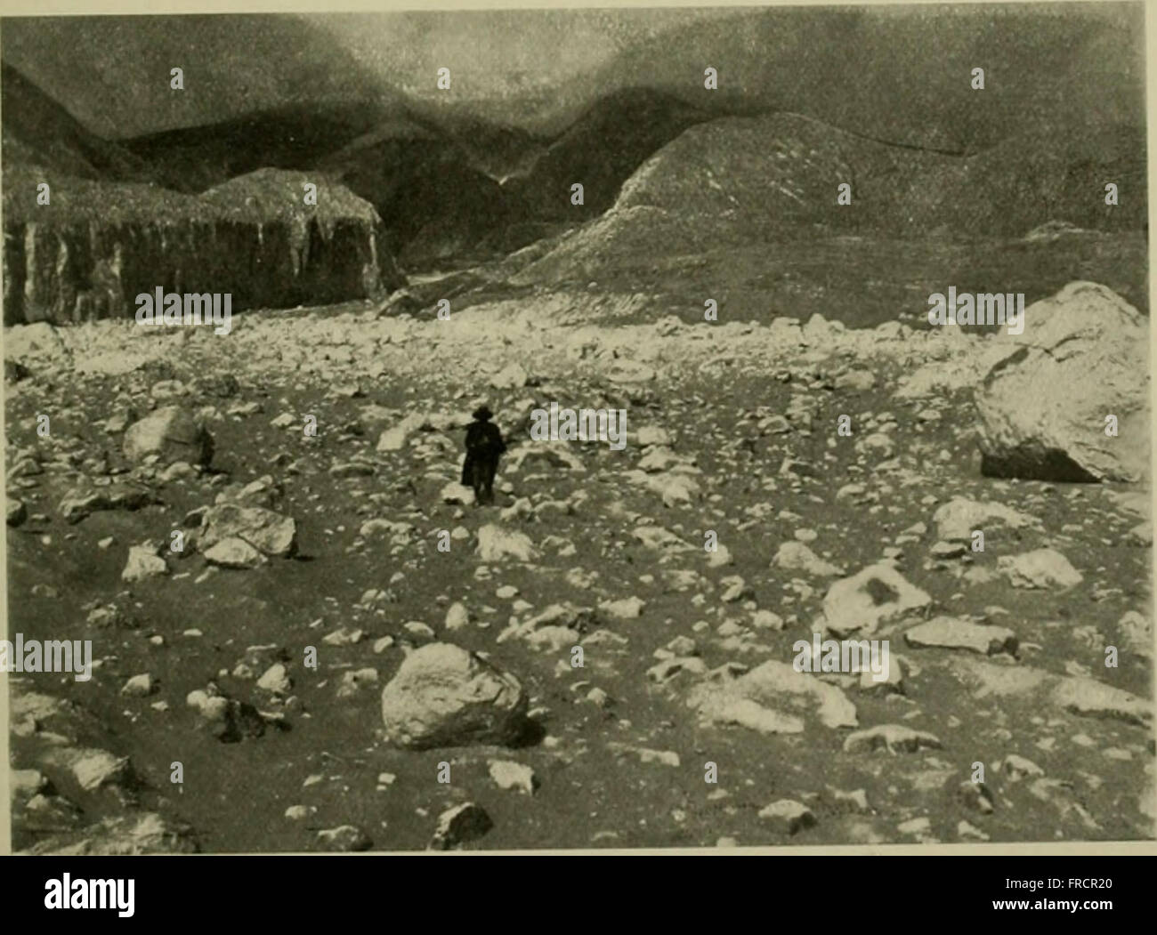 The American Museum Journal (1900-1918) features a collection of ...