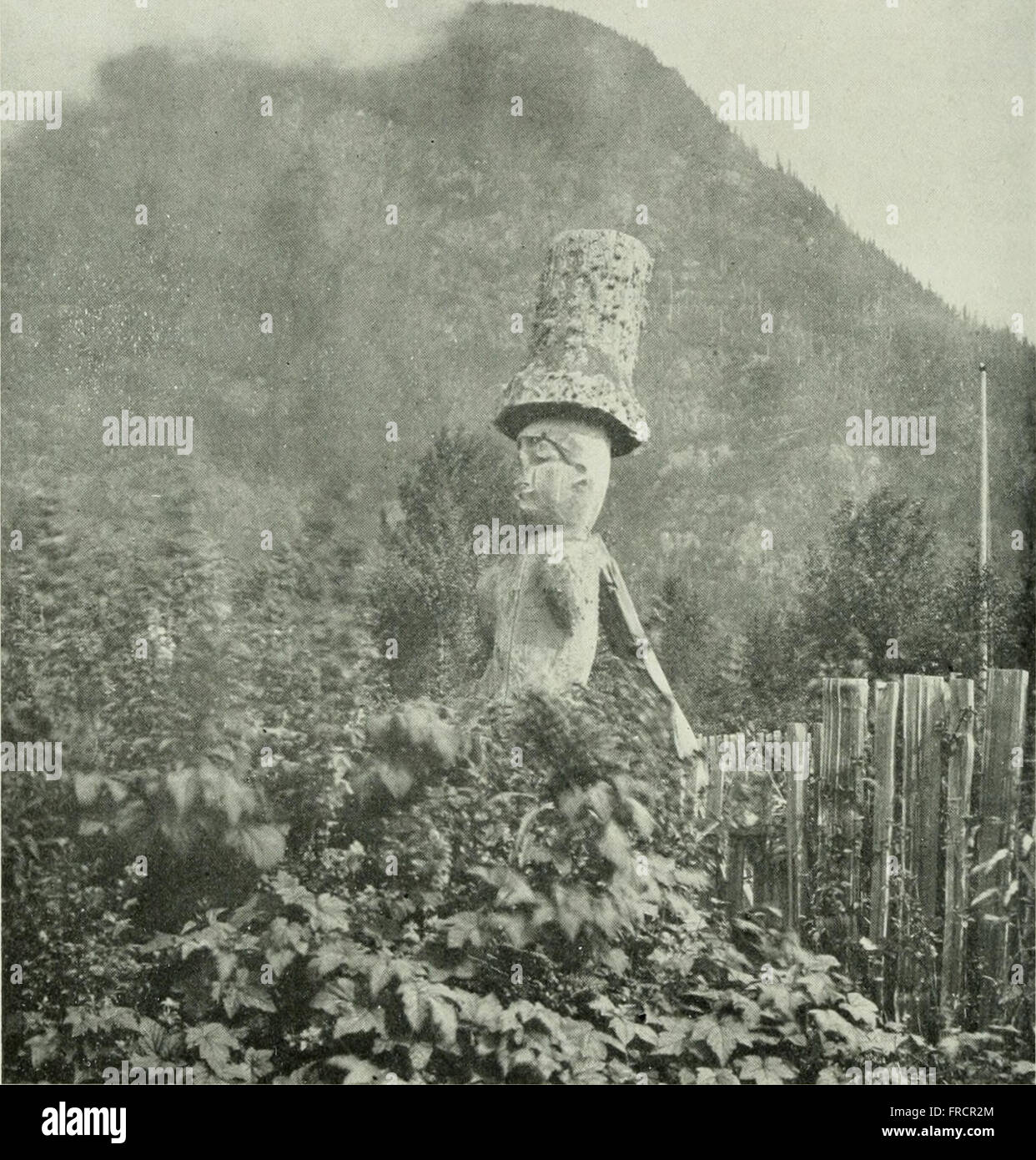 The American Museum Journal (1900-1918) presents scholarly articles on ...