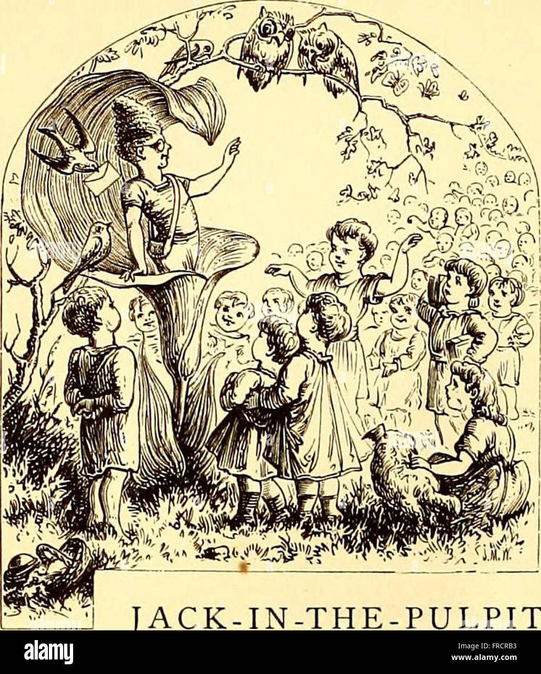 St. Nicholas, first published in 1873, is an American children's ...
