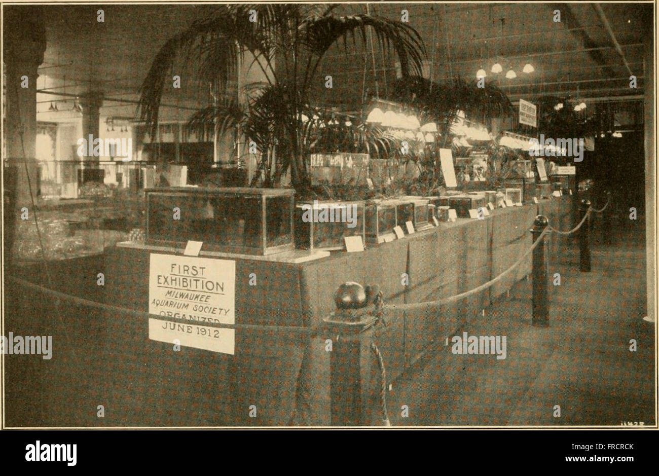 The Aquarium (1913 Stock Photo - Alamy