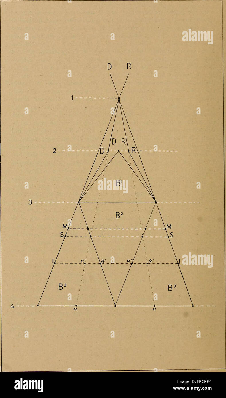 The Philippine journal of science (1909 Stock Photo - Alamy