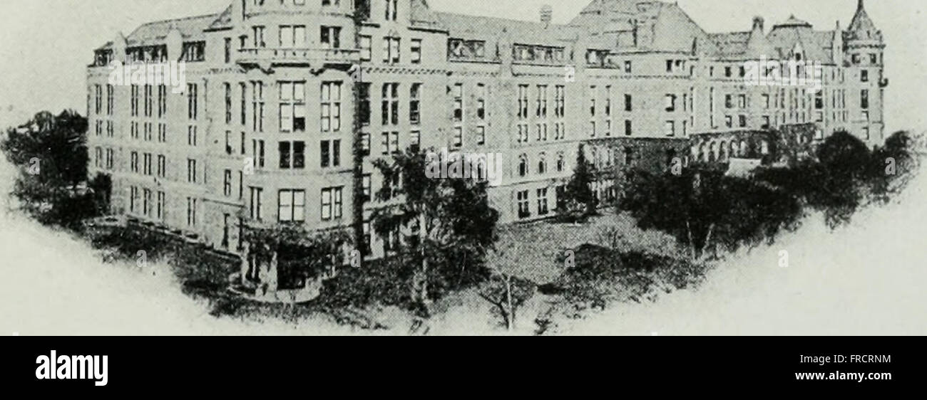 The American Museum journal (c1900-(1918 Stock Photo - Alamy