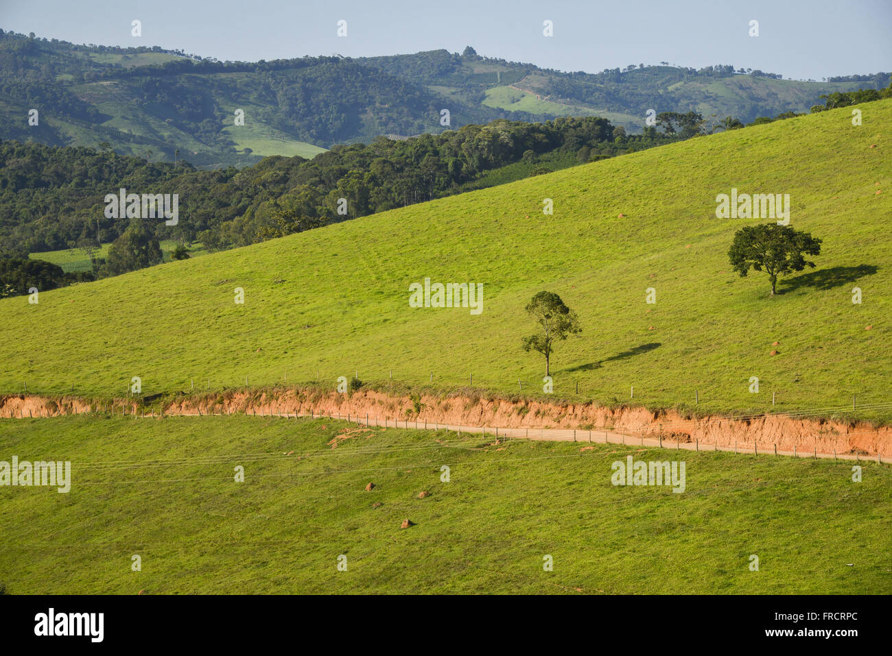 Dirt road in the countryside Stock Photo - Alamy