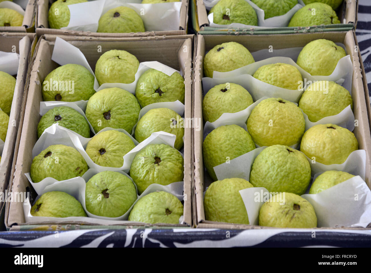 Guava Market High Resolution Stock Photography and Images - Alamy