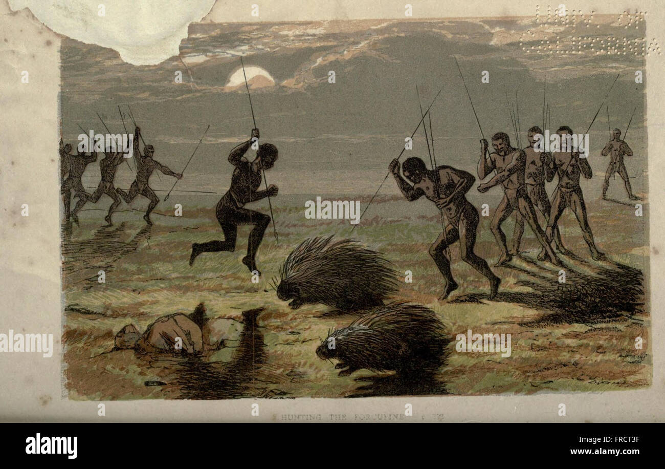 This illustration depicts sporting activities among the Kaffirs of ...