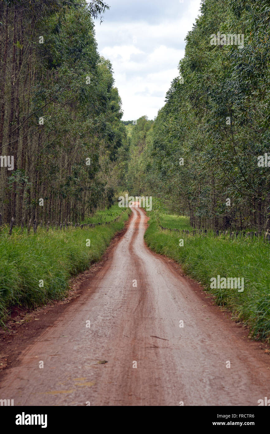 Estrada rural hi-res stock photography and images - Alamy