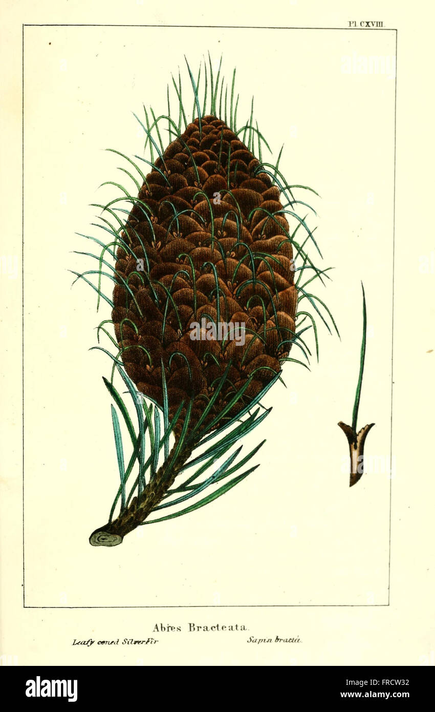 This work provides detailed descriptions and illustrations of North ...