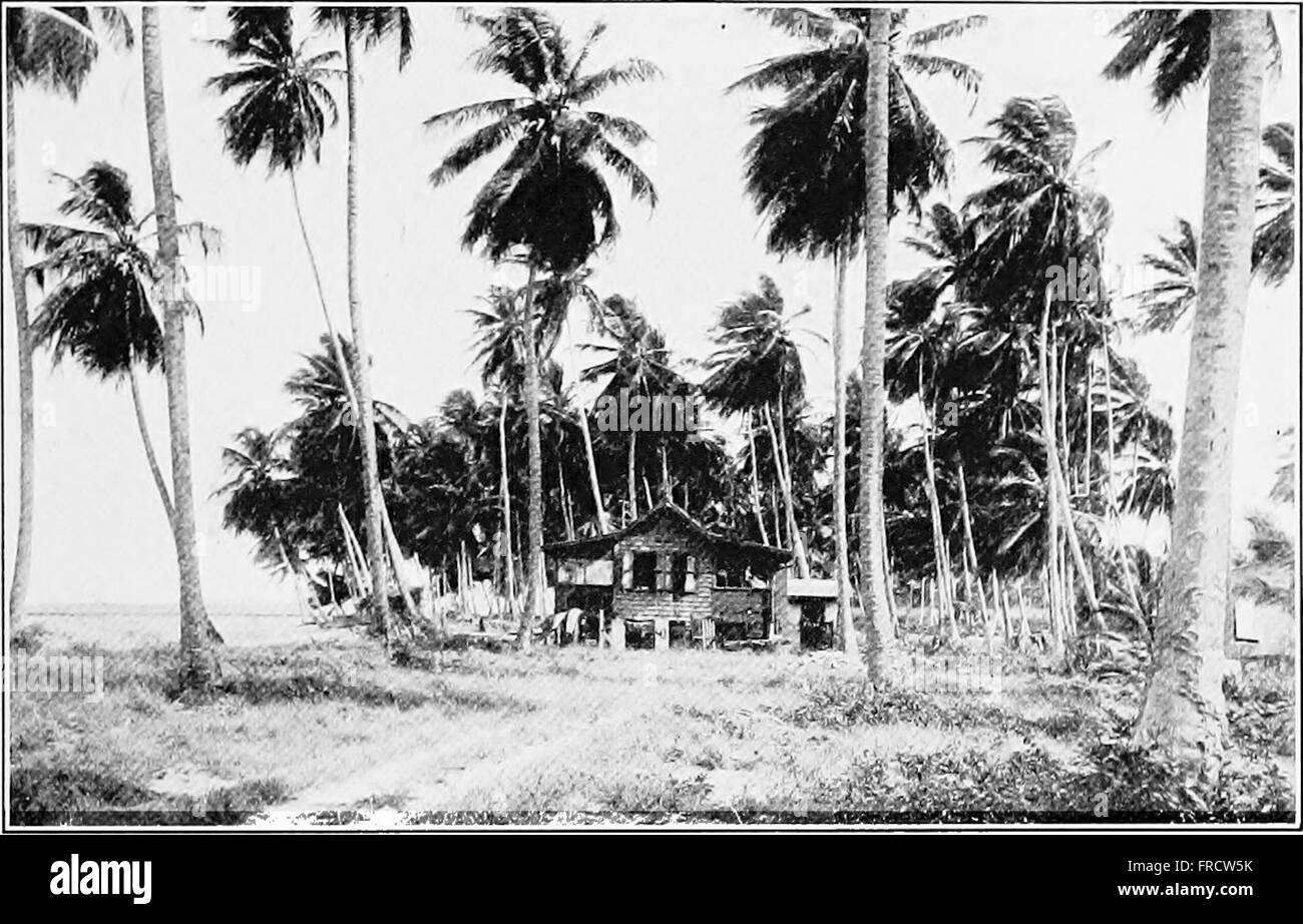 The Carnegie Institution of Washington (1917 Stock Photo - Alamy