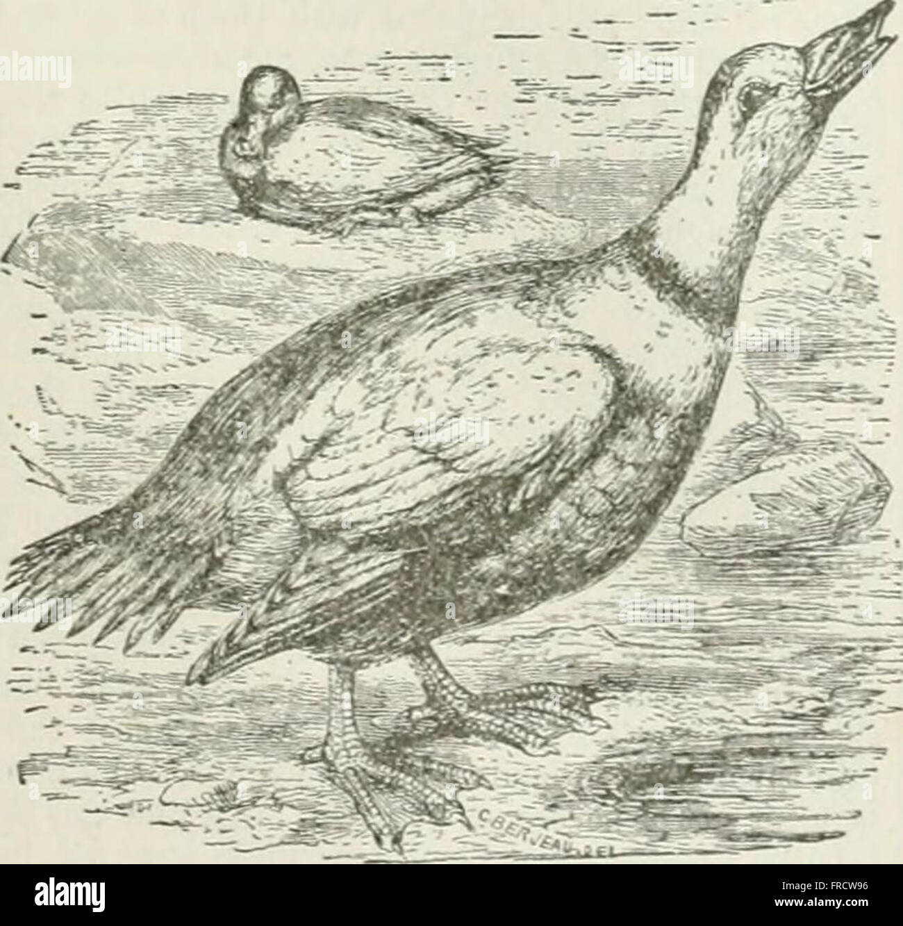 The 1902 edition of 'The Encyclopaedia Britannica' provides ...