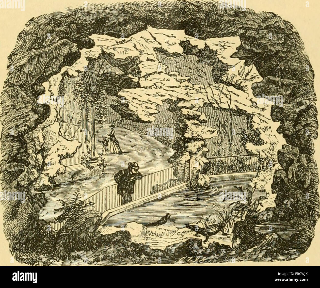 The aquarium (1895 Stock Photo - Alamy