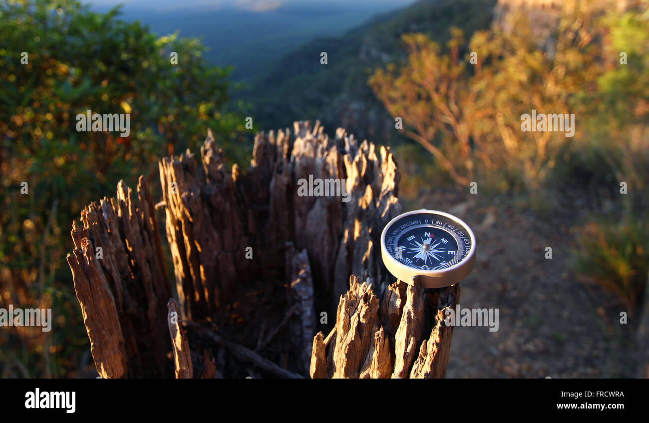 An antique compass pointing north resting on a tree stump at sunset ...