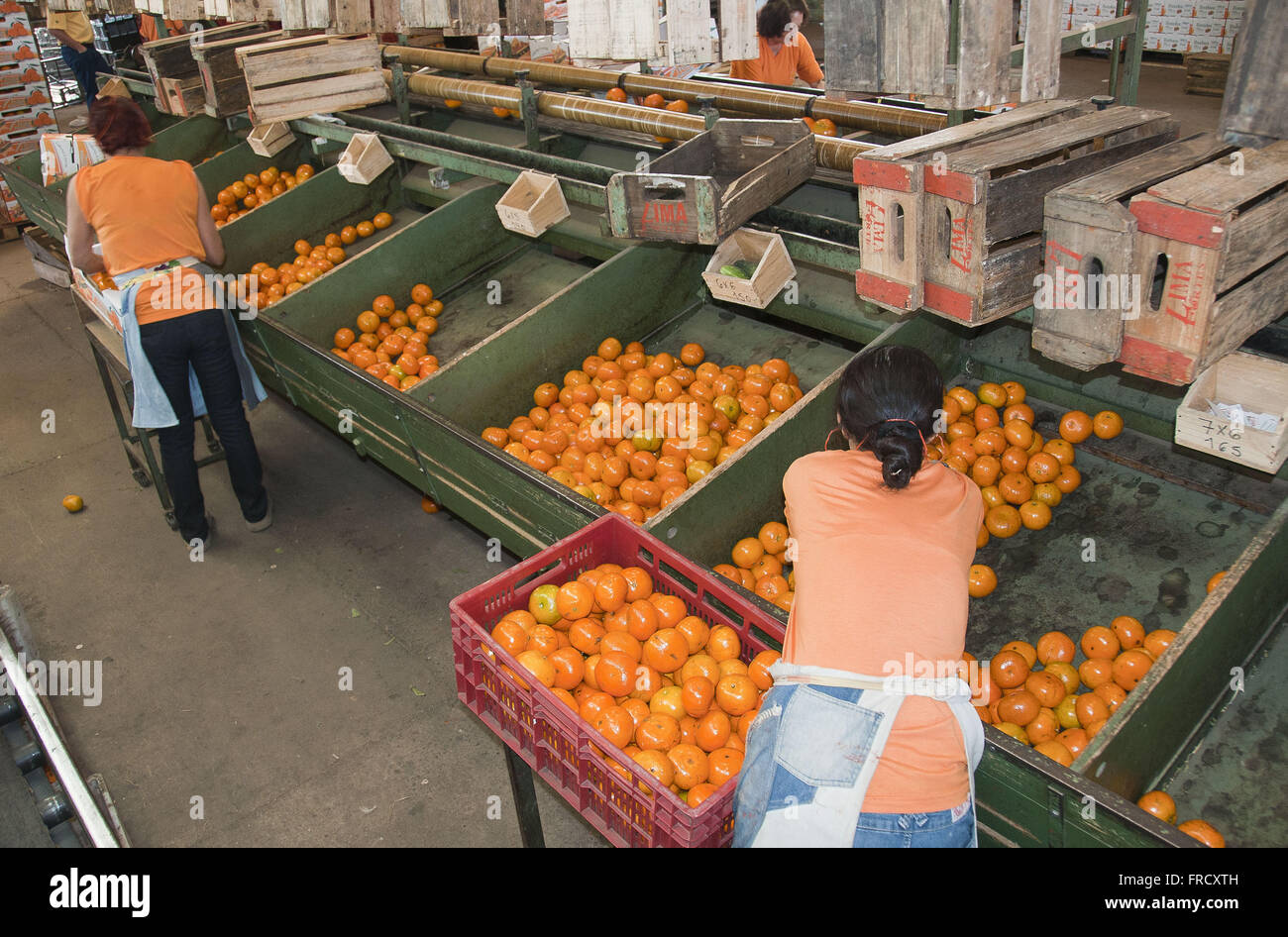 Shed fruit hi-res stock photography and images - Alamy