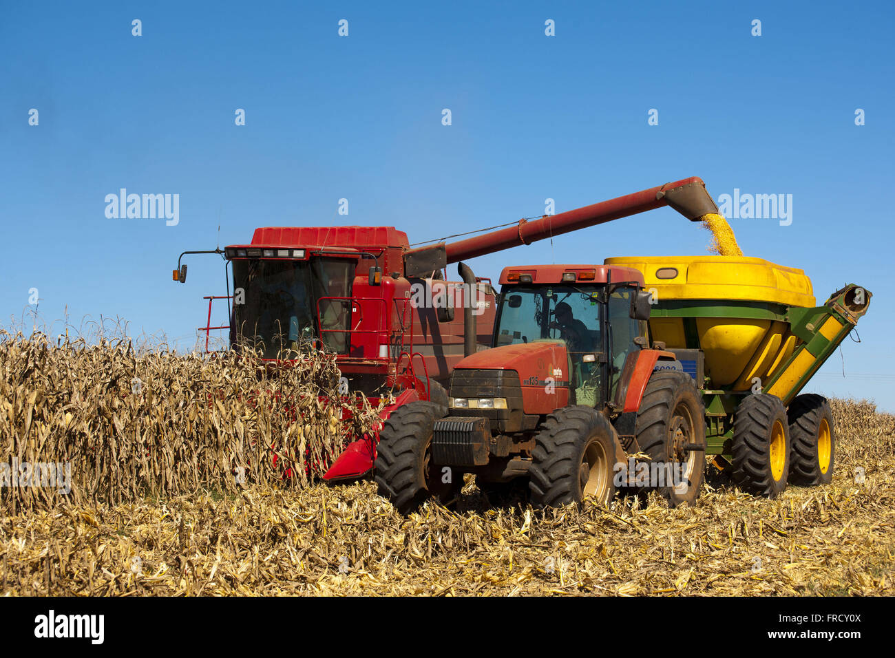 Crop and unloading corn into wagon in a rural area of Capao Beautiful ...