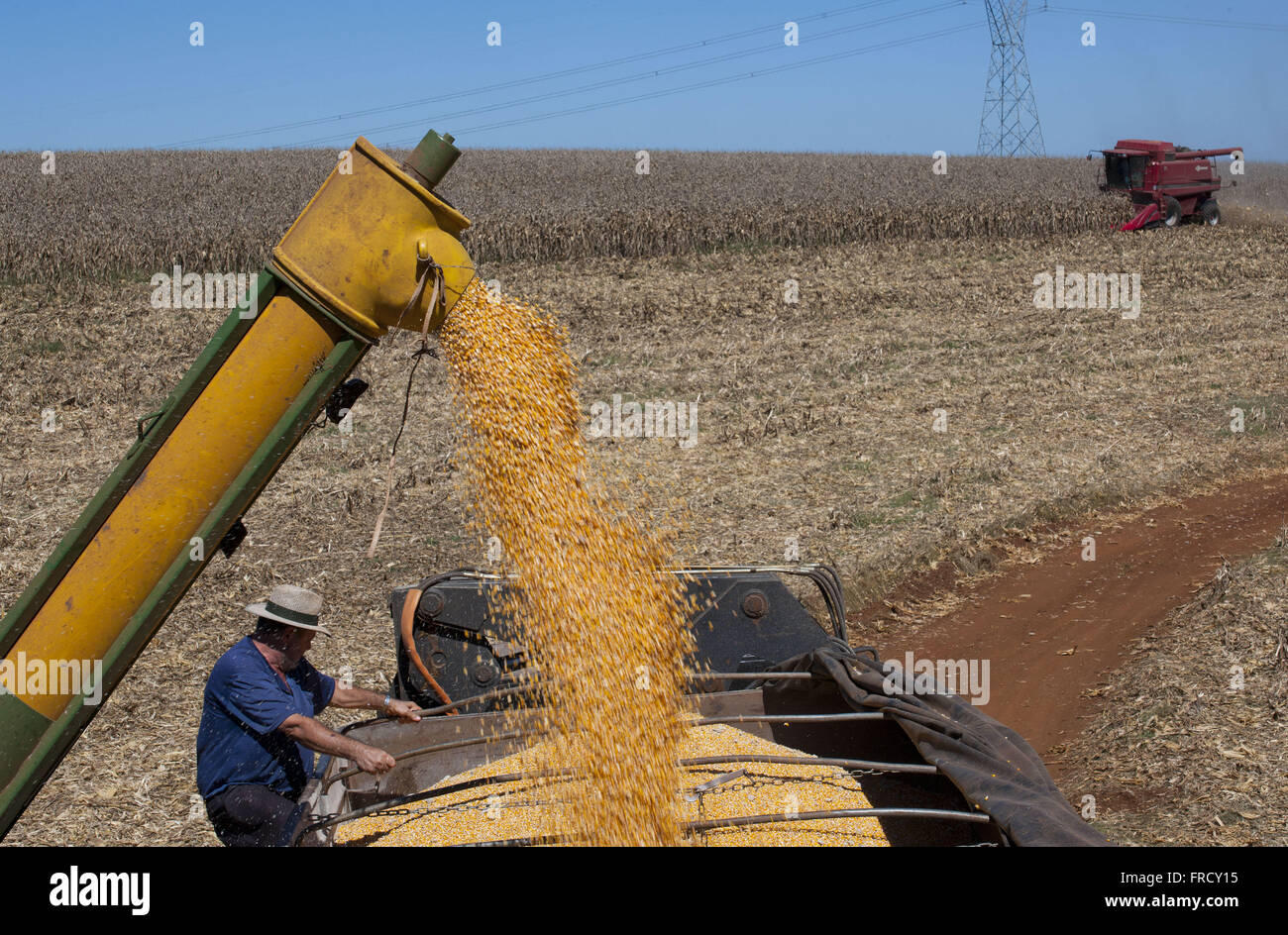Flatbed truck unloading corn in a rural area of Capao Beautiful South ...