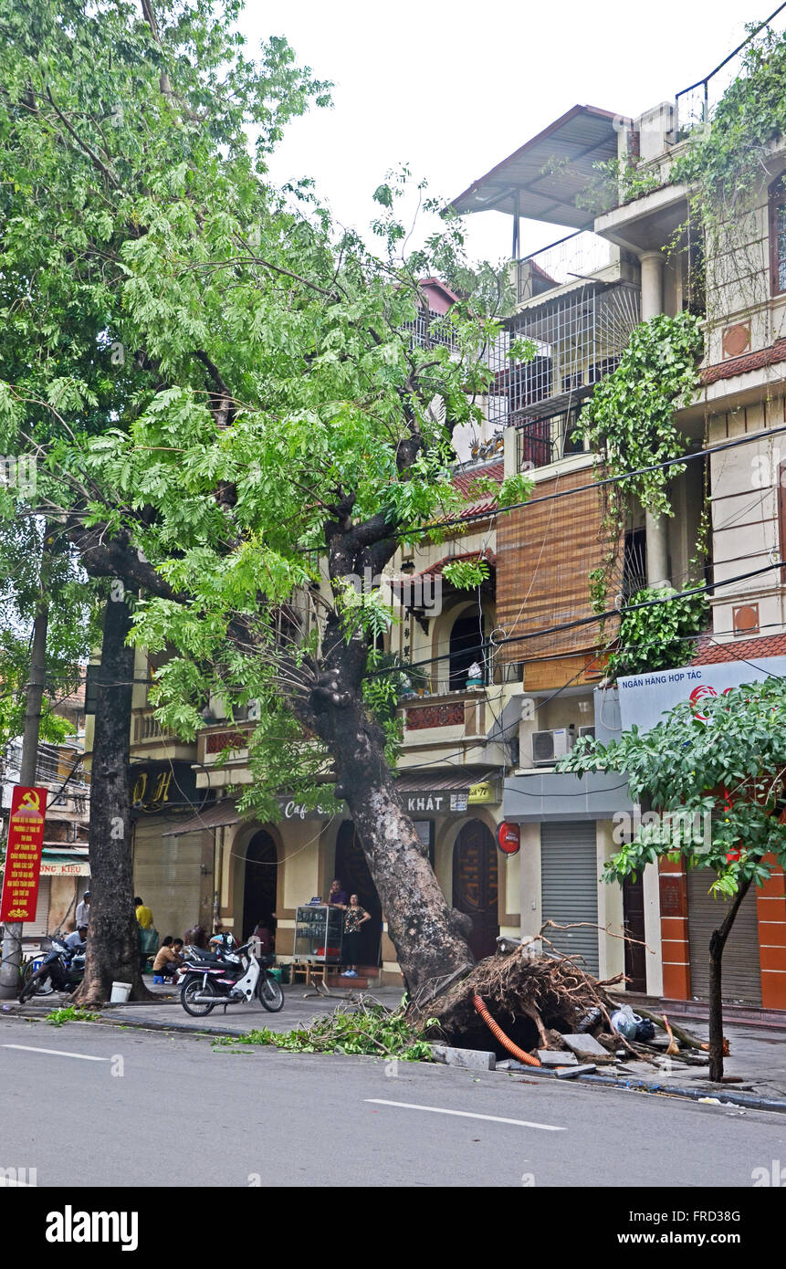 Beside the street hi-res stock photography and images - Alamy