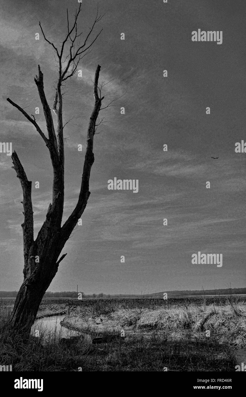 River of minnesota Black and White Stock Photos & Images - Alamy