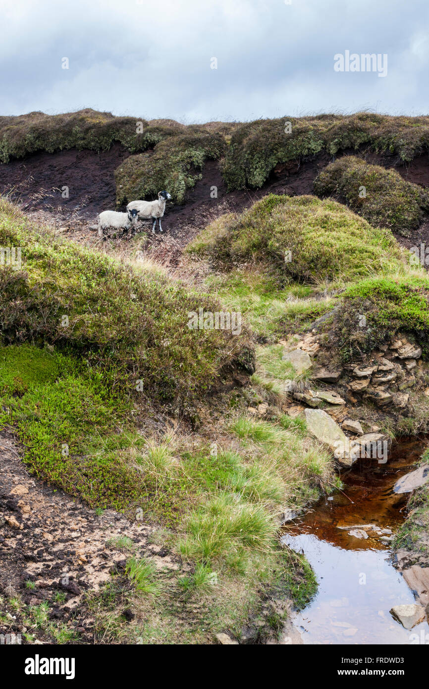 Gullies hi-res stock photography and images - Alamy