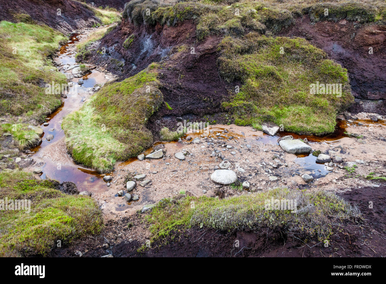 Moorland gully and peat hag formed by erosion of the moor by a stream ...