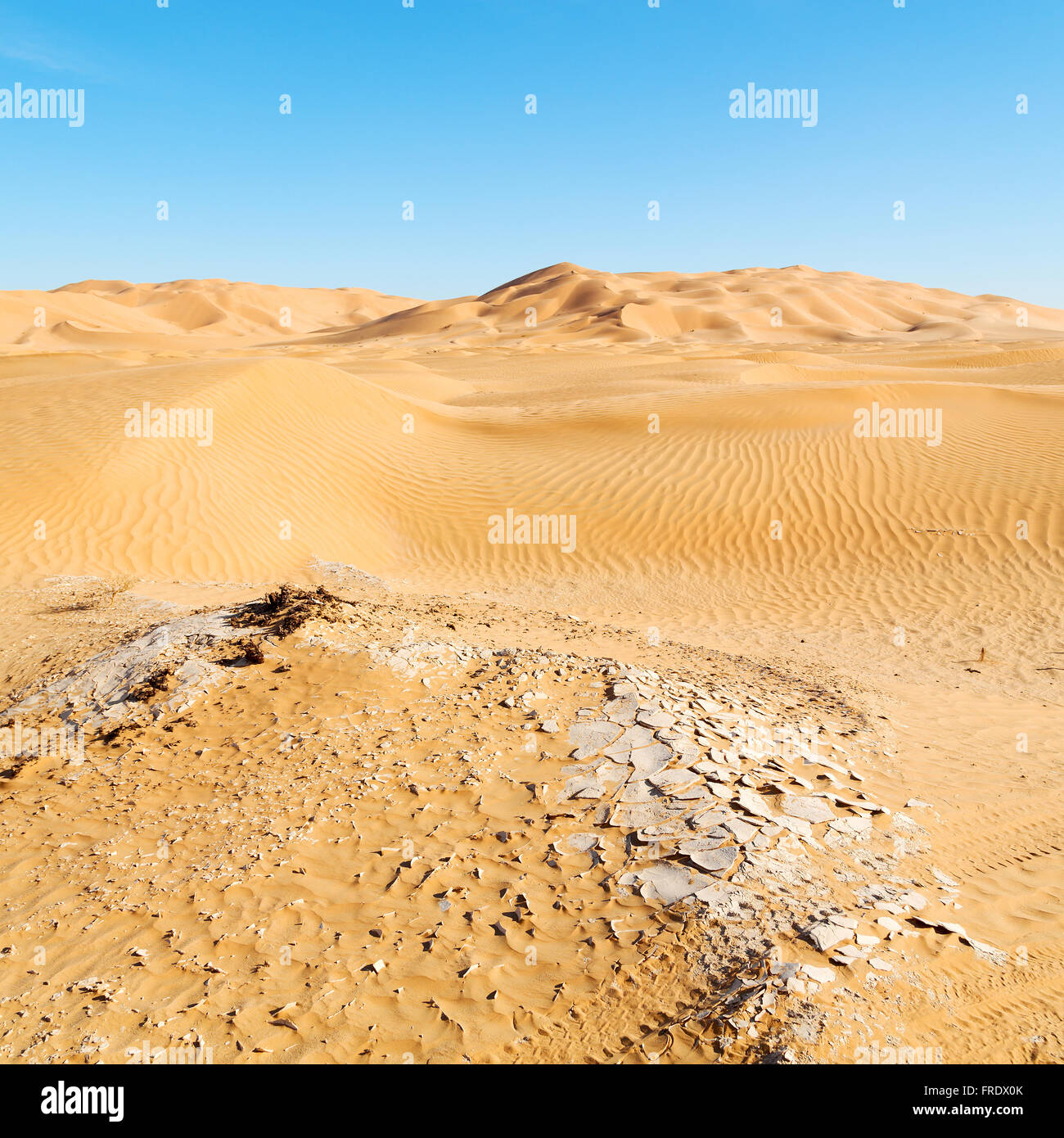 the empty quarter and outdoor sand dune in oman old desert rub al khali ...