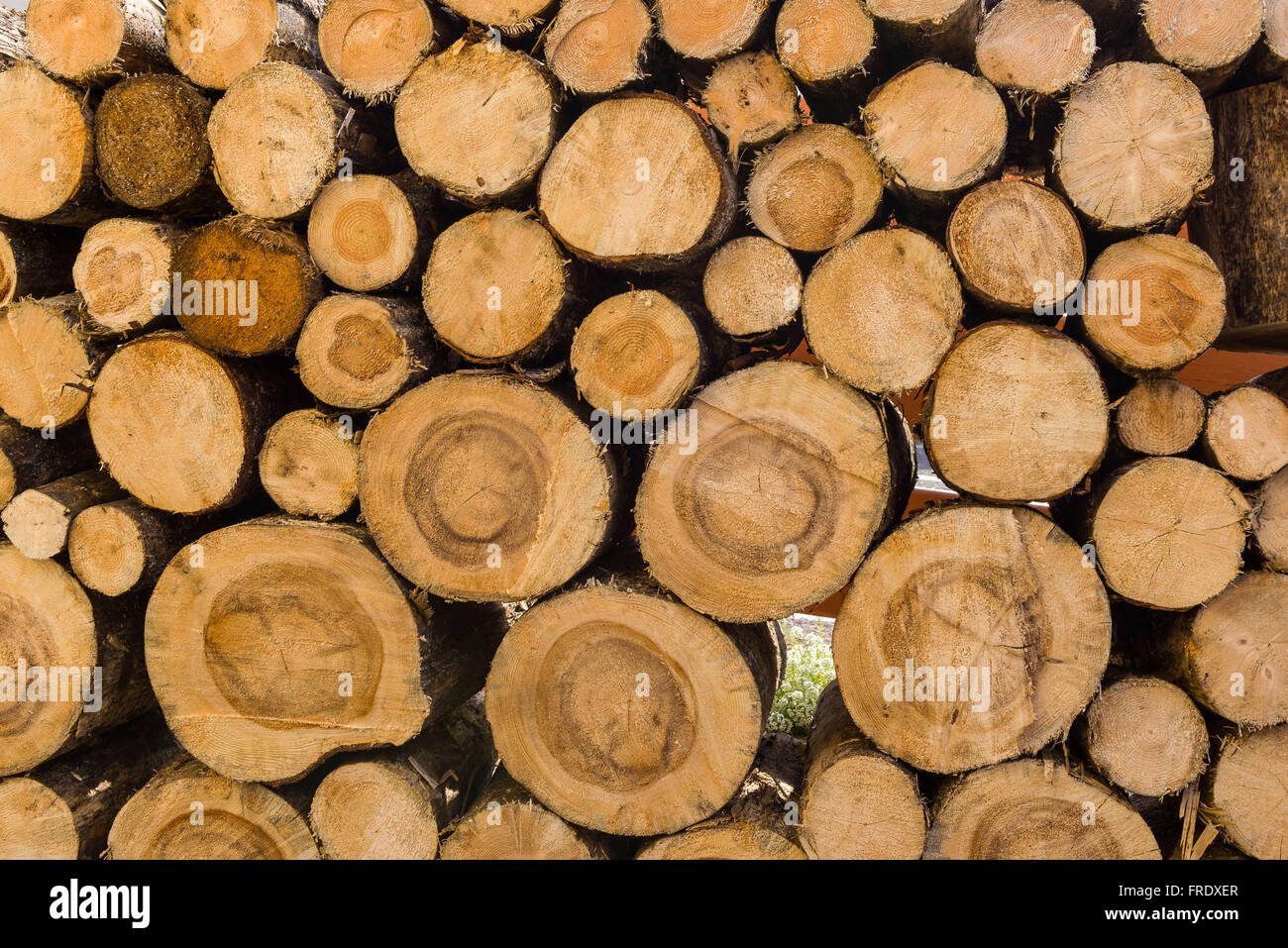 Wood ready to be burned Stock Photo - Alamy