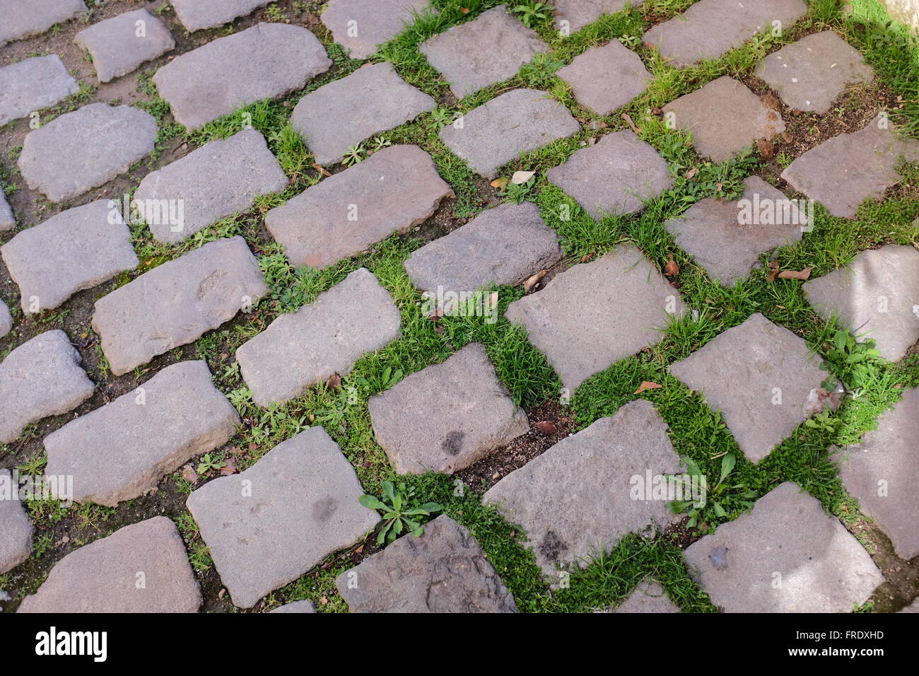 Stone pathway hi-res stock photography and images - Alamy