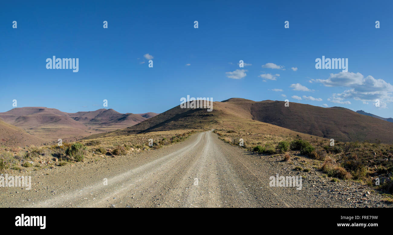 Looking For Adventure Stock Photo - Alamy