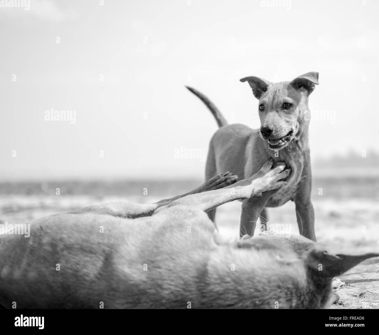 Follow your heart Stock Photo - Alamy Follow your heart Stock Photo - Alamy