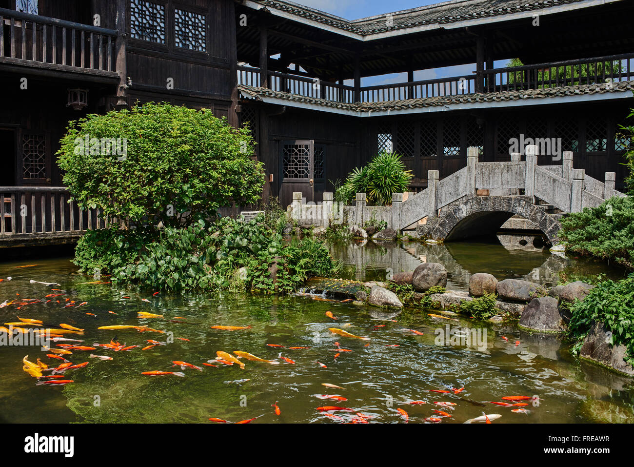 koi fish pond in a traditional house of Shangri La between Guilin and ...