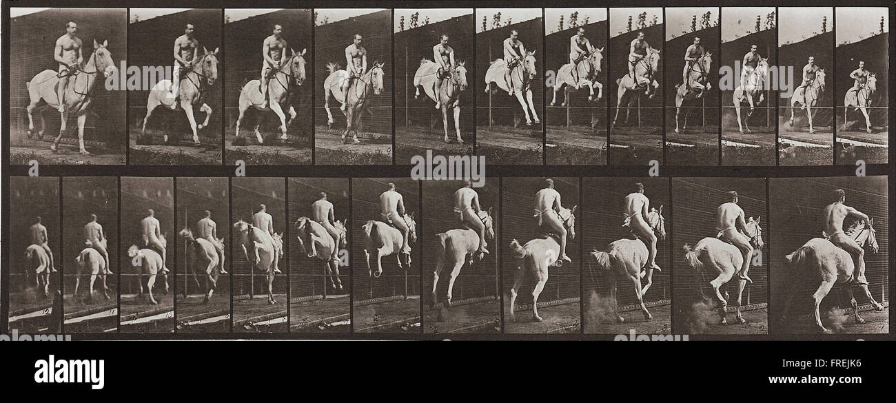 Eadweard muybridge animal locomotion hi-res stock photography and ...