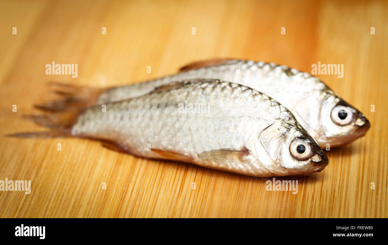 Swamp Barb of Indian subcontinent on wooden surface Stock Photo - Alamy