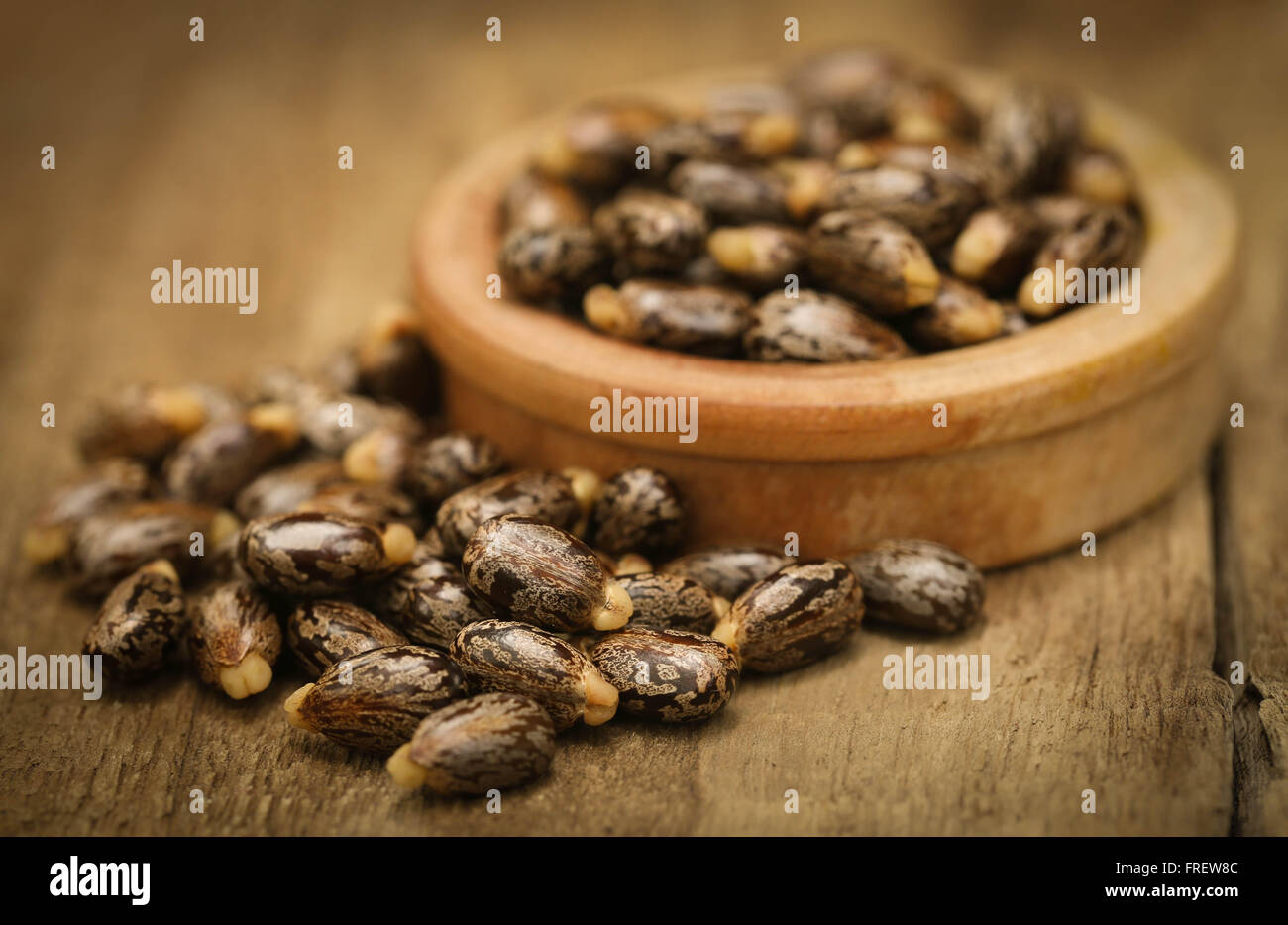 Castor beans hi-res stock photography and images - Alamy