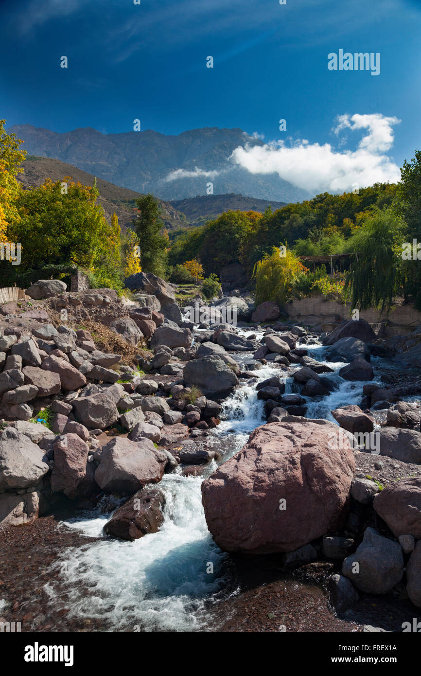 High country stream hi-res stock photography and images - Alamy