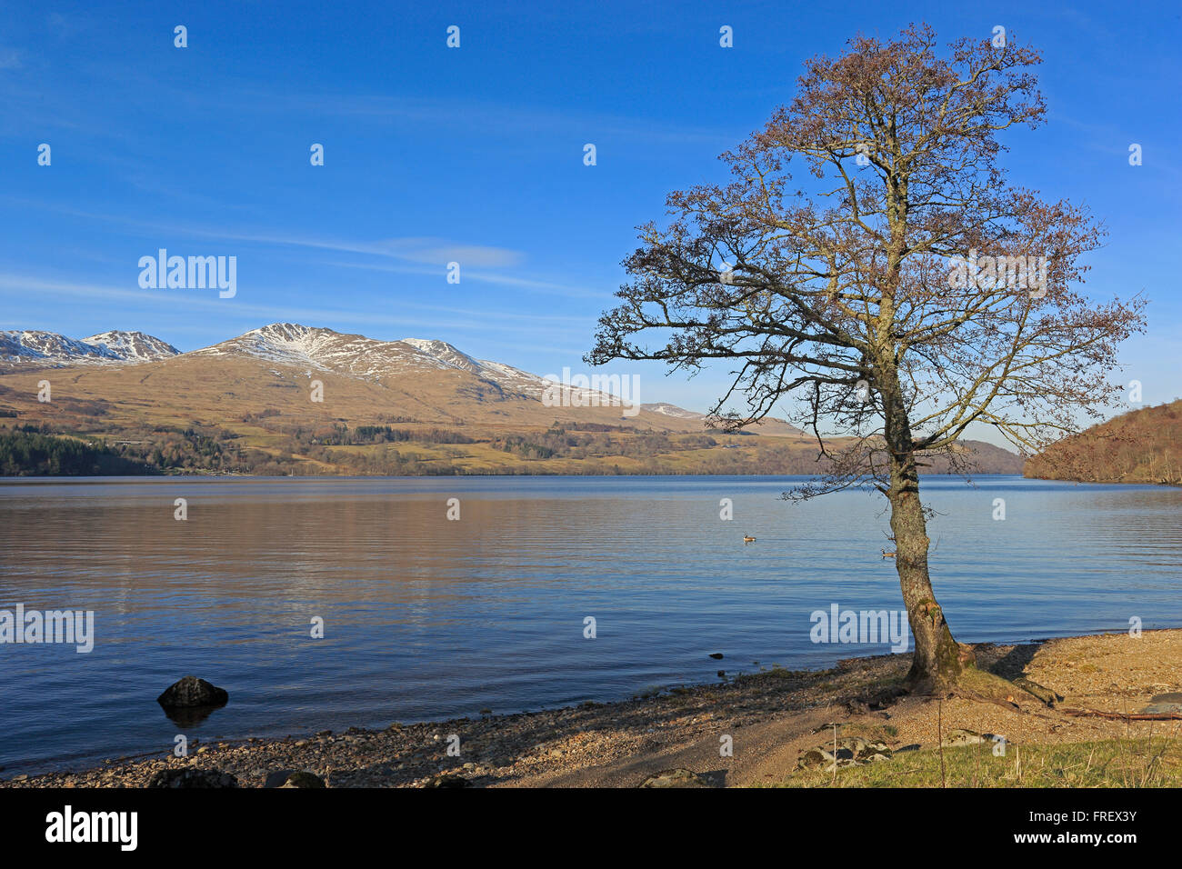 Loch tay hi-res stock photography and images - Alamy
