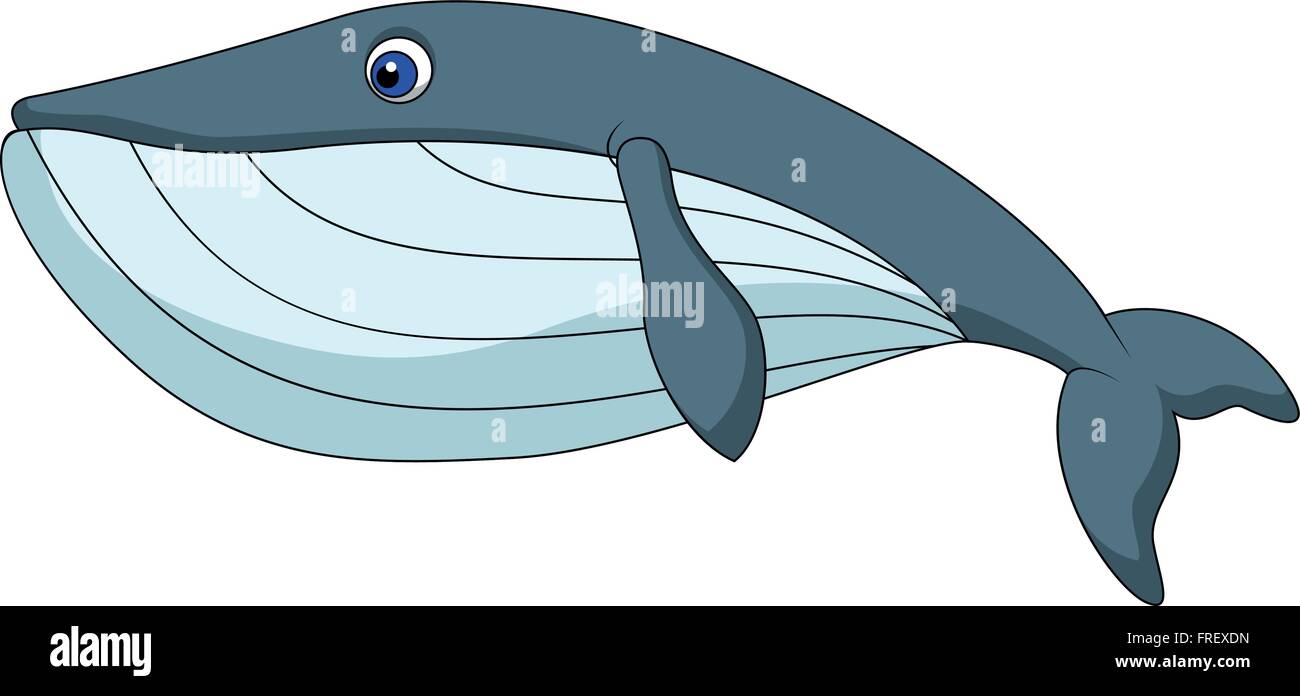 Cute whale cartoon Stock Vector Image & Art - Alamy