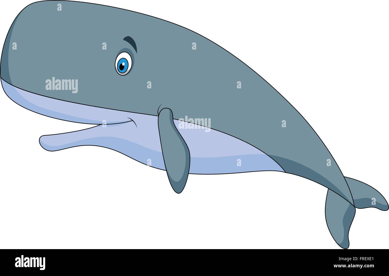 Cute whale cartoon Stock Vector Image & Art - Alamy