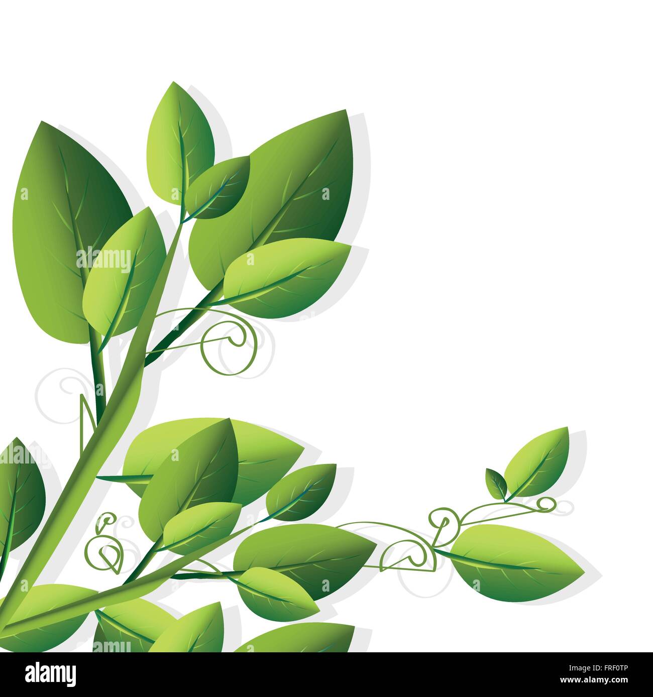 Green Leaves Decorative Illustration Stock Vector Image & Art - Alamy