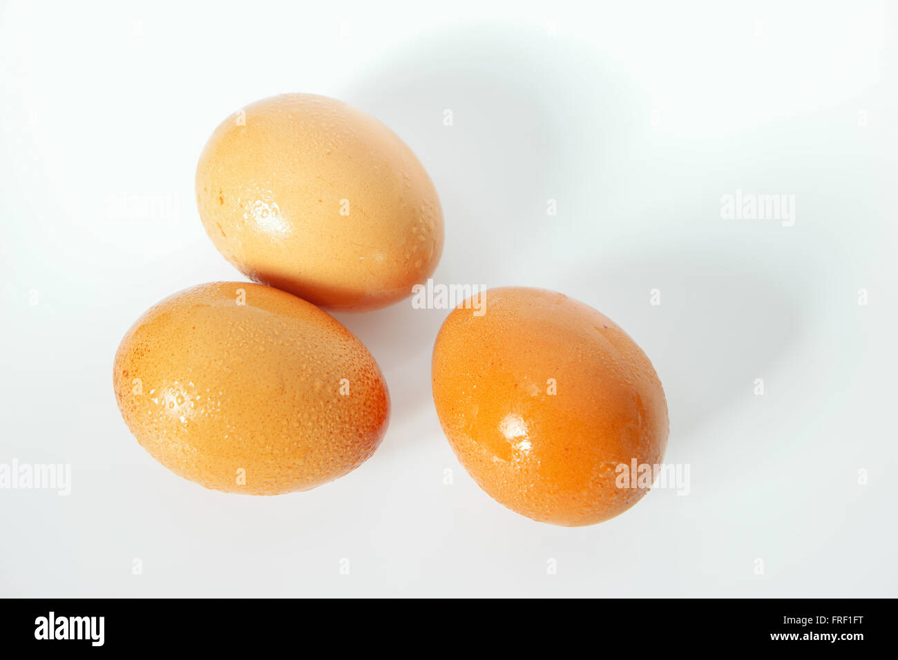 Chicken egg development hi-res stock photography and images - Alamy