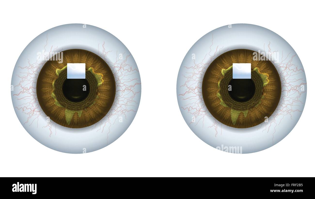 Pupils in Stock Vector Images - Alamy