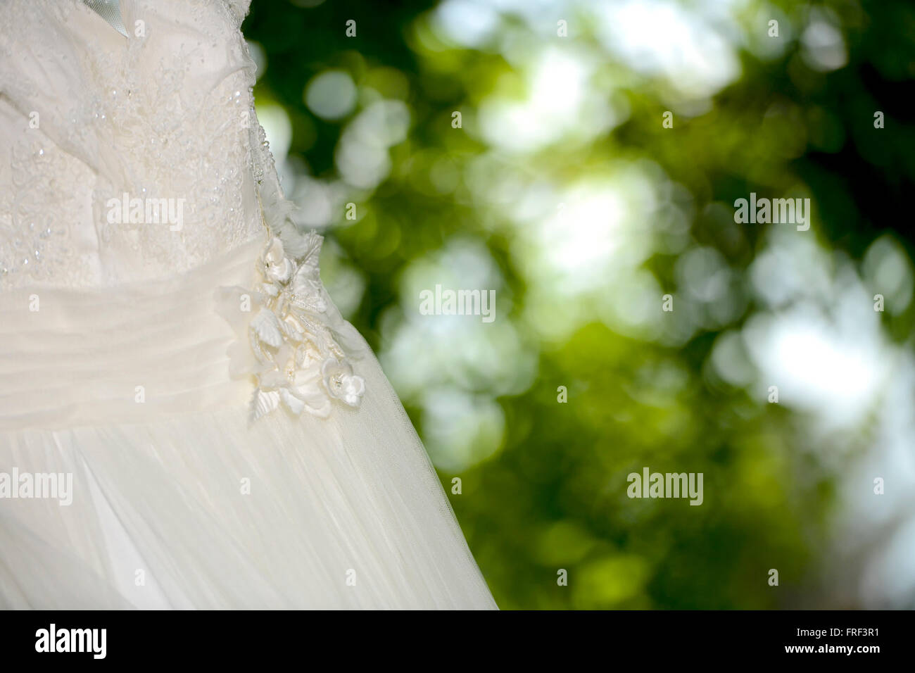 Wedding dress hanging in tree Stock Photo - Alamy