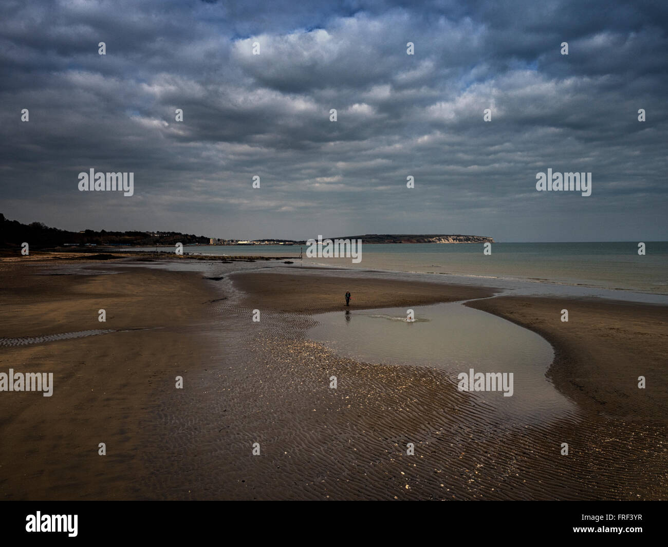 Swim sandy hi-res stock photography and images - Alamy